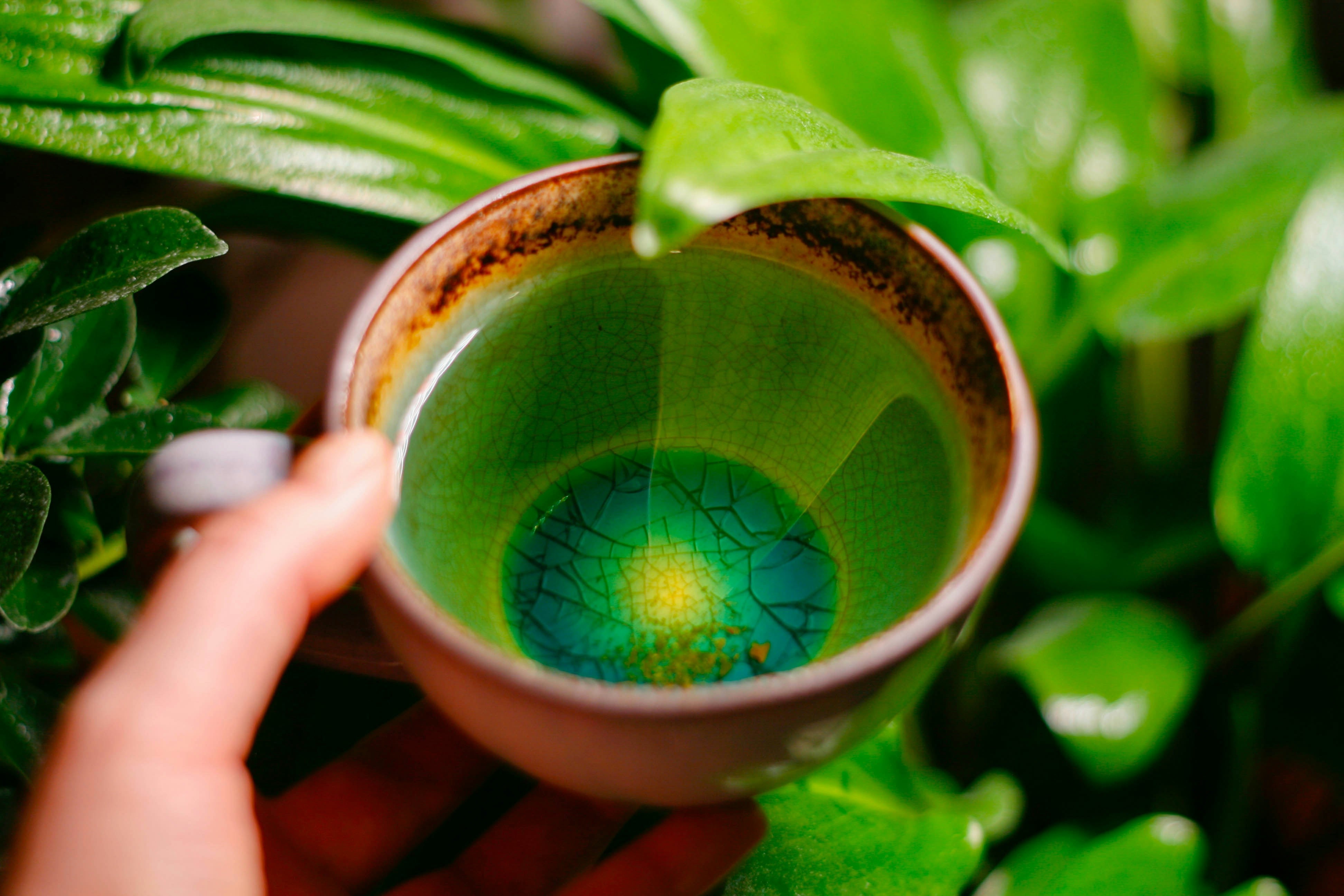 Sustainability and Loose Leaf Tea: Brewing a Greener Future